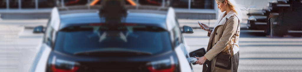 Compatibel Met Alle Backend Providers- Flexicharge